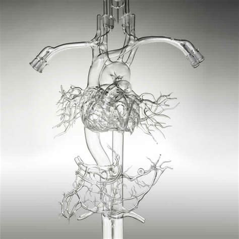 Expose The Light Heart Of Glass The Art Of Radiolab