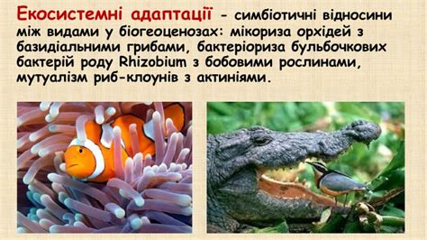 Презентація Адаптація як загальна властивість біологічних систем