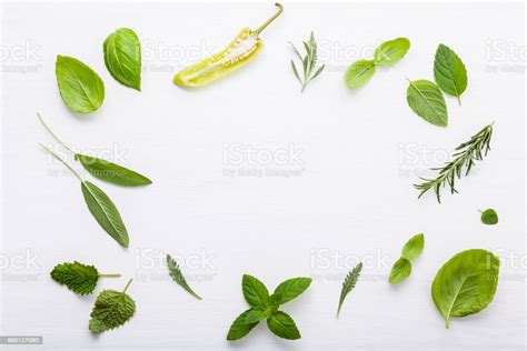 Ingrediens 박하 달콤한 바 질 로즈마리 오 레가 노 세이 지 레몬 백 리 향 평면 흰색 나무 배경에 대 한 다양 한 신선한 허브를 공간을 복사 건강관리와 의술에