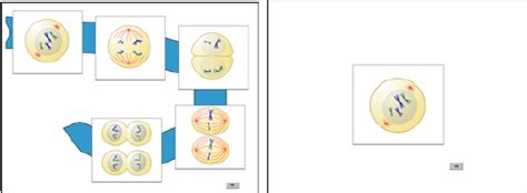 on the left is the multiple animations material on the right is the