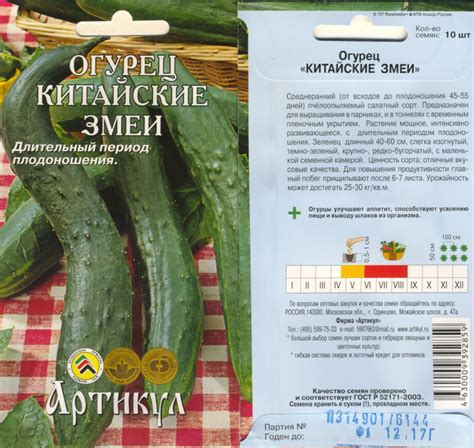 Огурец Китайский змей: описание сорта и выращивание, отзывы с фото