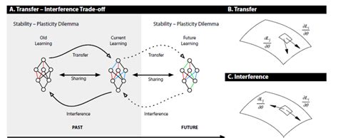 Ibm Uses Continual Learning To Avoid The Amnesia Problem In Neural Networks Kdnuggets