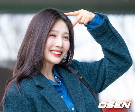 연예가 현장 포토 사진 레드벨벳 조이`상큼한 건치 미소` Zum 뉴스