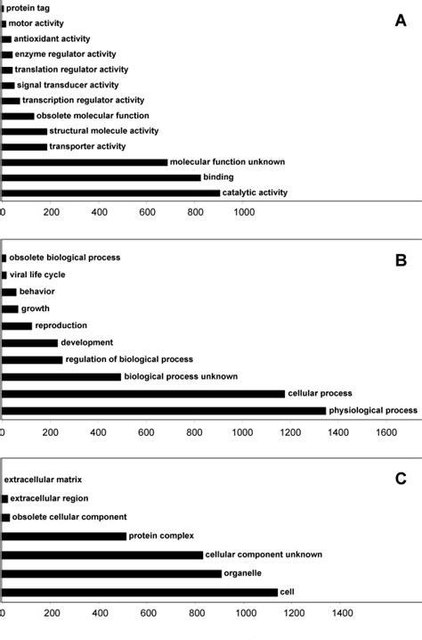Distribution Of Festuca Unigenes With Putative Functions Assigned