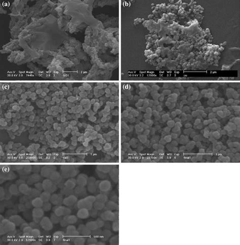 sem micrographs of a fe3o4 sio2 go b fe3o4 sio2 go au c download
