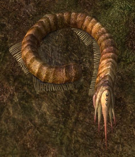 Root Crawler Lotro