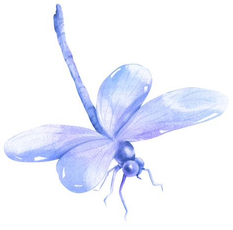 Dragonfly Watercolor Illustration 9661414 Png