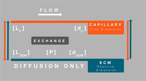 Where The Species In The System Can Be Identified Using Table 1 Below