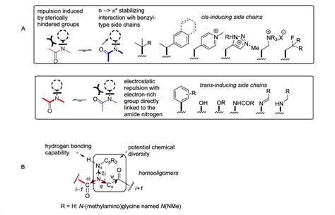 A Summary Of The Main Side Chains Exerting Significant Steric And Or Download Scientific