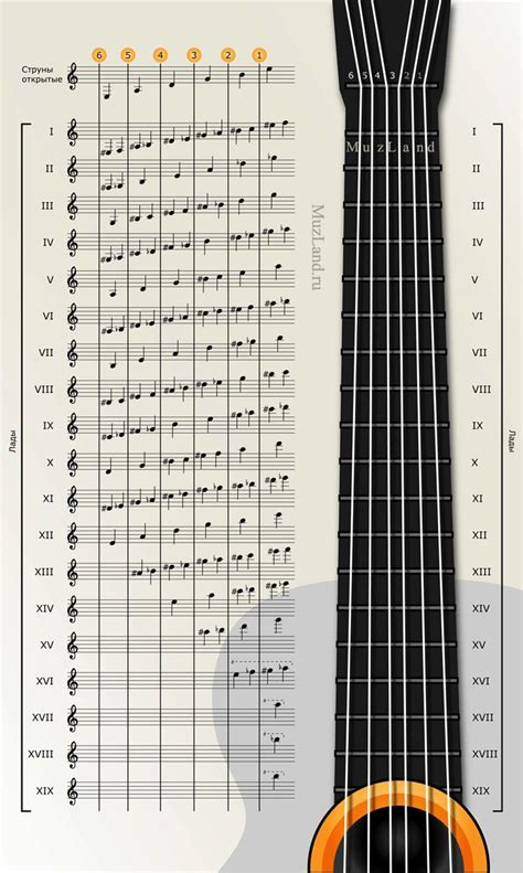 Guitar Strings Notes