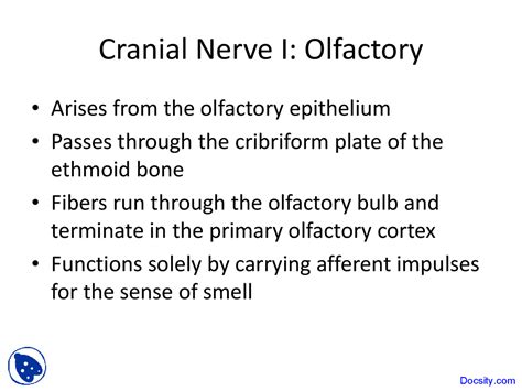 Cranial Nerve Physiology And Anatomy Lecture Slides Docsity