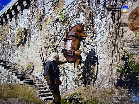 Dammit Spider Roach Rwitcher Dammit Spider Roach Rwitcher