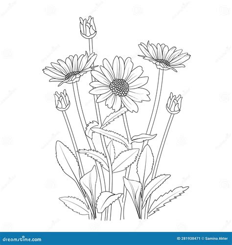 Daisy Line Art Gerbera Daisy Drawing Outline Easy Gerbera Daisy Drawing Outline Simple Daisy