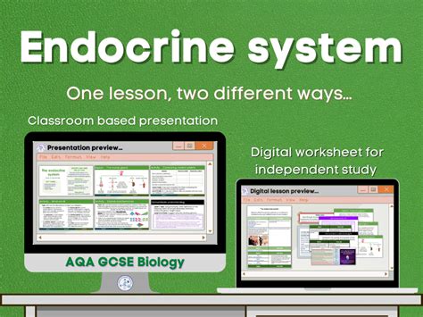 The Endocrine System Lesson Bundle Teaching Resources