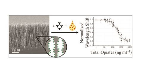 Label Free Porous Silicon Immunosensor For Broad Detection Of Opiates