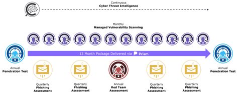 penetration testing as a service rootshell security