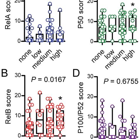 Survival By Nf κb Subunit Expression Shown Are Kaplan Meier Survival