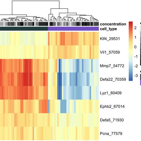 Heatmap Of Selected Genes Representing Markers Of Crypt And Villus