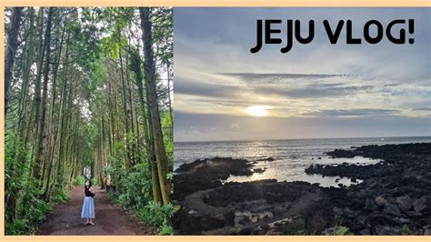 극 J형 인간의 제주 여행 1편 엑셀로 표 짜서 감 Youtube