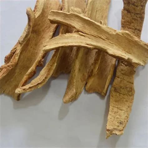Lodhra Stem Bark At ₹ 180kg In New Delhi Id 2855654691888