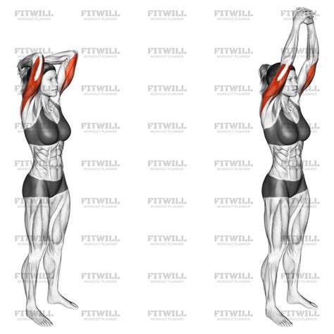 Bodyweight Overhead Triceps Extension Exercise Guide Video Techniques Benefits How To Bodyweight Overhead Triceps Extension Exercise Guide Video Techniques Benefits How To