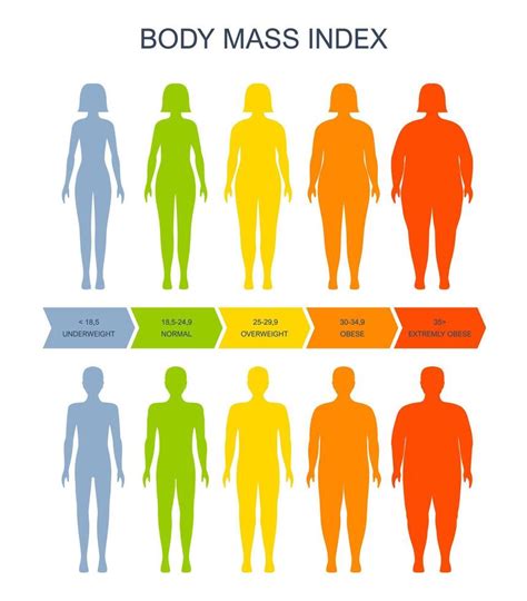 Body Mass Index Chart Bmi Of Man And Woman Scale 46602420 Vector Art At Vecteezy