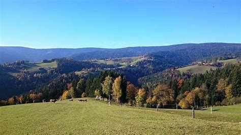 AP Environmental Science StudyBullet Com