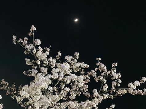 난임일기 시험관 아기 준비 동결배아 결과 냉동 비용 네이버 블로그