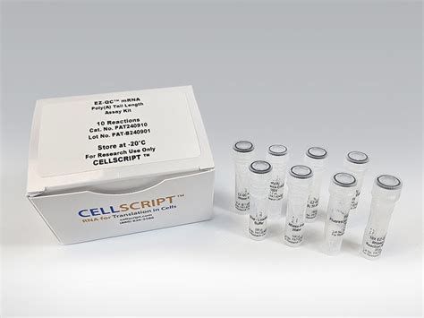 Ez Qc™ Mrna Poly A Tail Length Assay Kit ⋆ Cellscript™