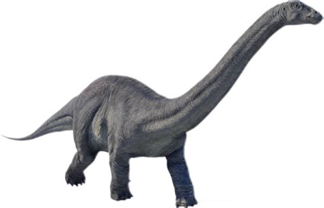Apatosaurus From Jurassic World Evolution 2 By Danielunicomb On Deviantart