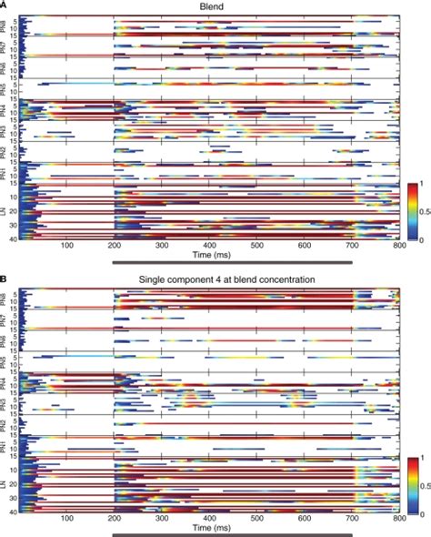 Raster Plots Showing Neuron Activity In An Example Realization Of The Download Scientific
