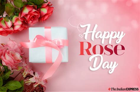 Happy Rose Day Images 2021 Wishes Quotes Images Status Greetings