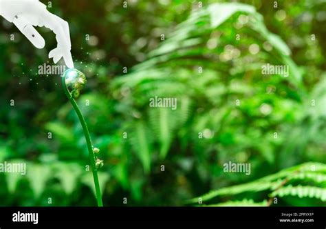 Green Robots For Sustainability Concept Robot Hand Touch Green Plant