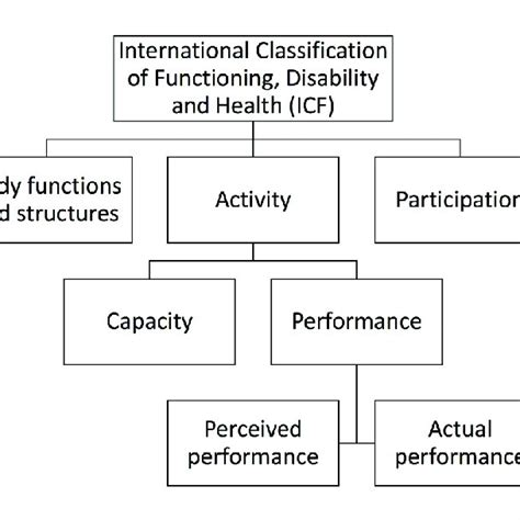 International Classification Of Functioning Disability And Health