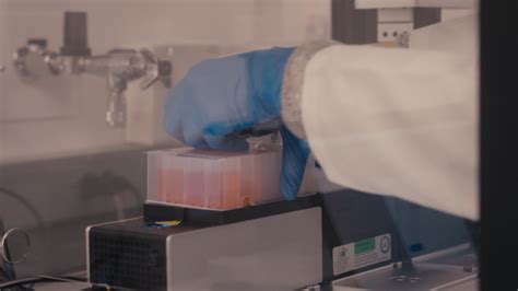 如何用 Opentrons Flex Pcr 工作站自动化 Pcr 设置？ Opentrons中国官网