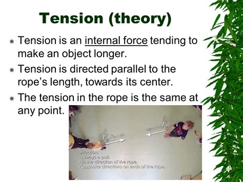 Calculating Force Of Tension In Ropes And Strings Grade 11 Physics