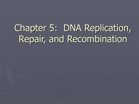 Ppt Chapter 5 Dna Replication Repair And Recombination Powerpoint Presentation Id6519550