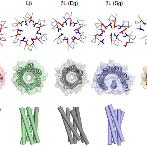 Coiled Coil Structure Symmetry And Sequence A B Parallel C2