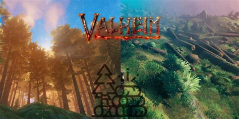 Valheim Best Locations To Farm Core Wood In The Black Forest