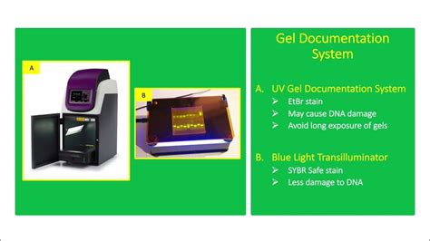 Gel Documentation System Youtube Gel Documentation System Youtube