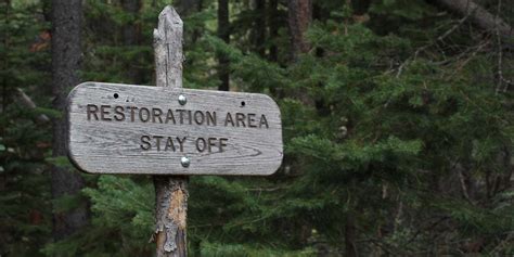 Sql Server Restoration Sql Server Consulting Straight Path Solutions