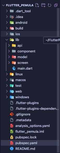 Tutorial Flutter Dengan Laravel Rest Api 2 Install Depedency Dan Konfigurasi Flutter