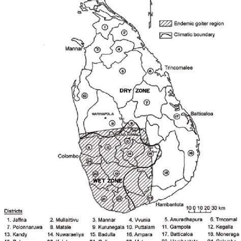 Proposed Epidemiological Map With The Distribution Of Goiter Prevalence Download Scientific