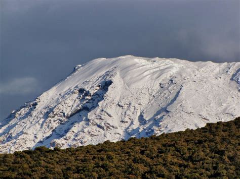 케냐 산 국립공원과 천연림mount Kenya National Park 네이버 블로그