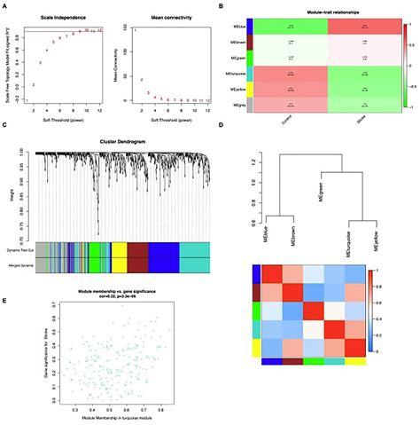 Identification Of Diagnostic Signatures For Ischemic Stroke By Machine Learning Algorithm