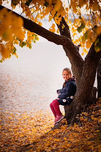 가을에 아이 따뜻한 가을 옷을 입은 어린 소녀가 강둑에 앉아 맑은 물과 땅에 누워있는 아름다운 노란 잎을 즐기고 있습니다 10월에 대한 스톡 사진 및 기타 이미지 Istock