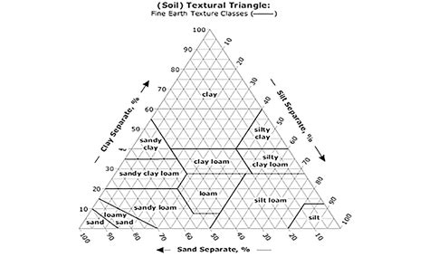 What Makes Up A Healthy Soil