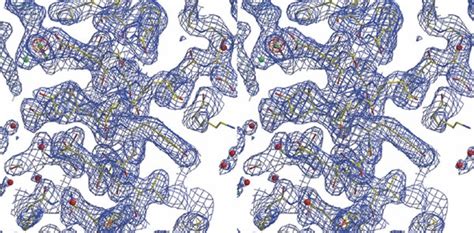 Stereo View Of Part Of An Electron Density Map The Map Was Calculated