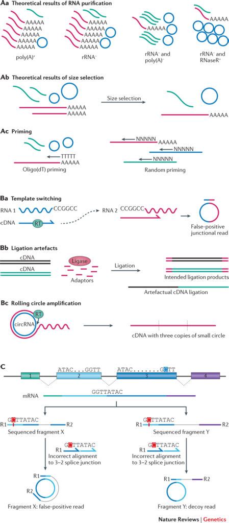 circrna rna seq blog