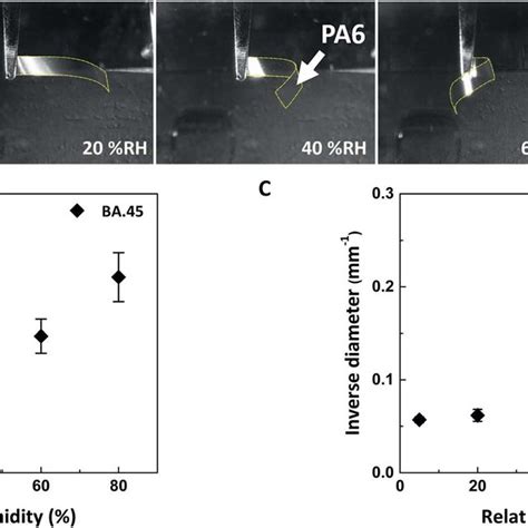 The Variations In The Paracingulate Sulcus Pcs And The Cingulate Download Scientific Diagram